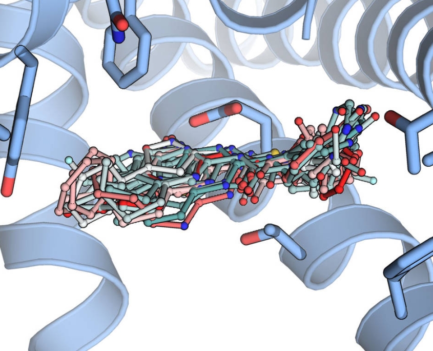 Deep Apple – deep learning-driven structure-based drug discovery